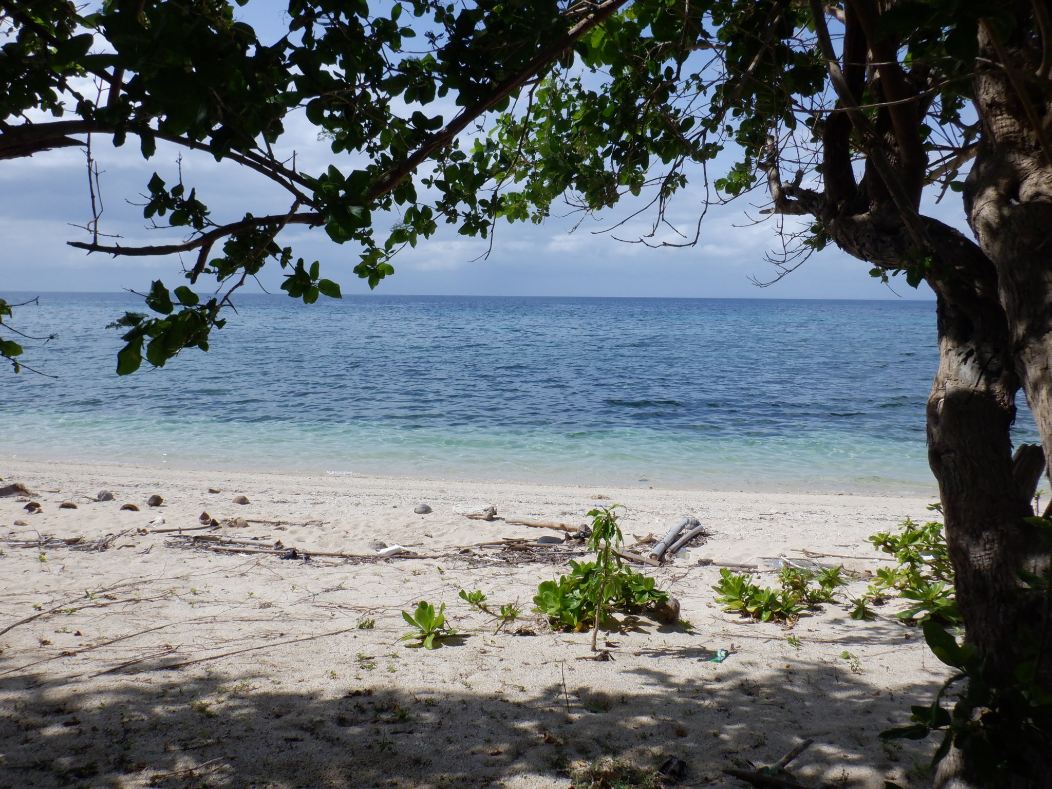 Mongpong Island – An Island Paradise Every Budget Traveler and ...