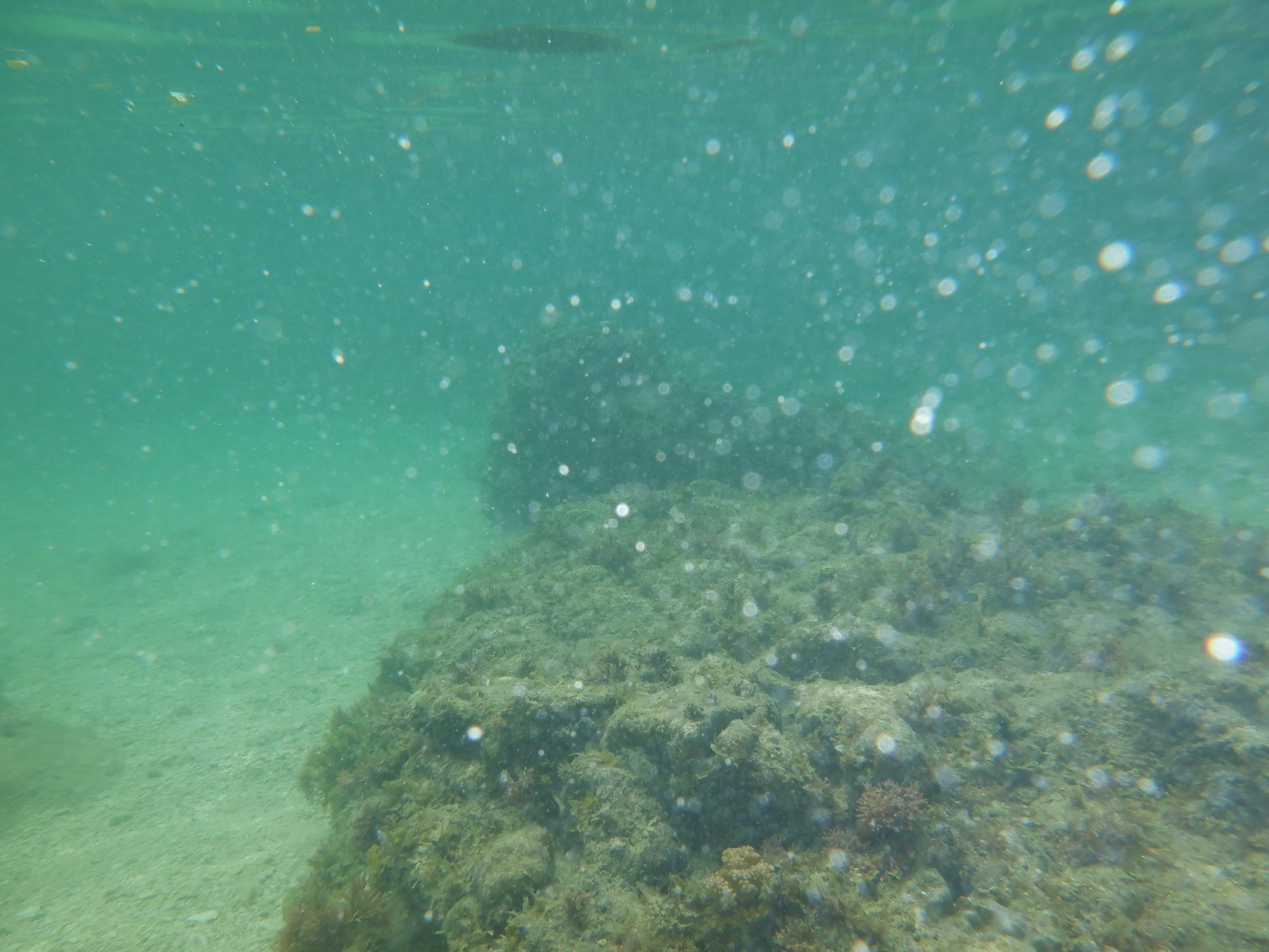 Mongpong Island – An Island Paradise Every Budget Traveler and ...