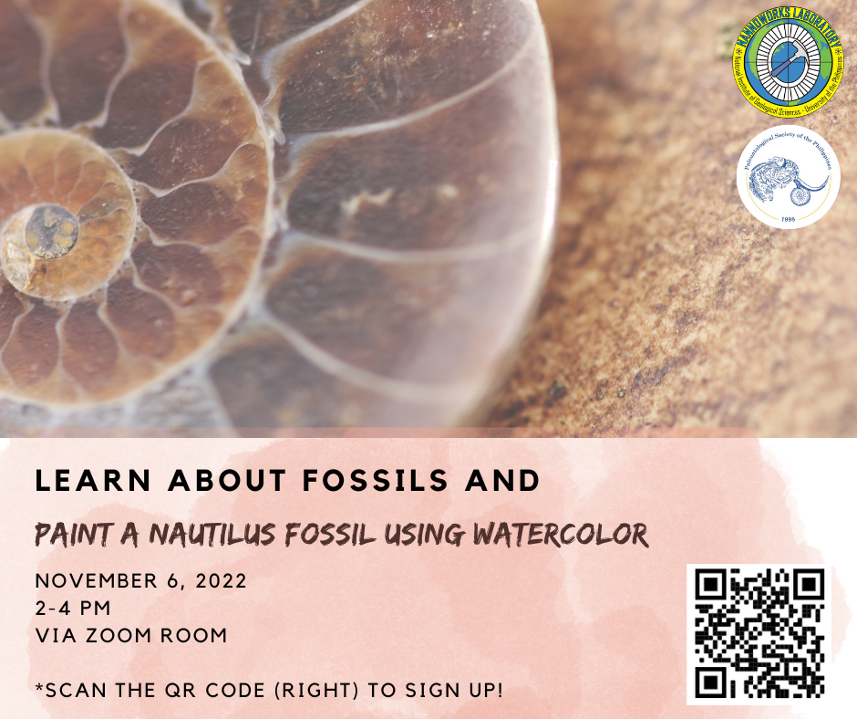 Free homeschooling class: learn about fossils and paint a nautilus ...