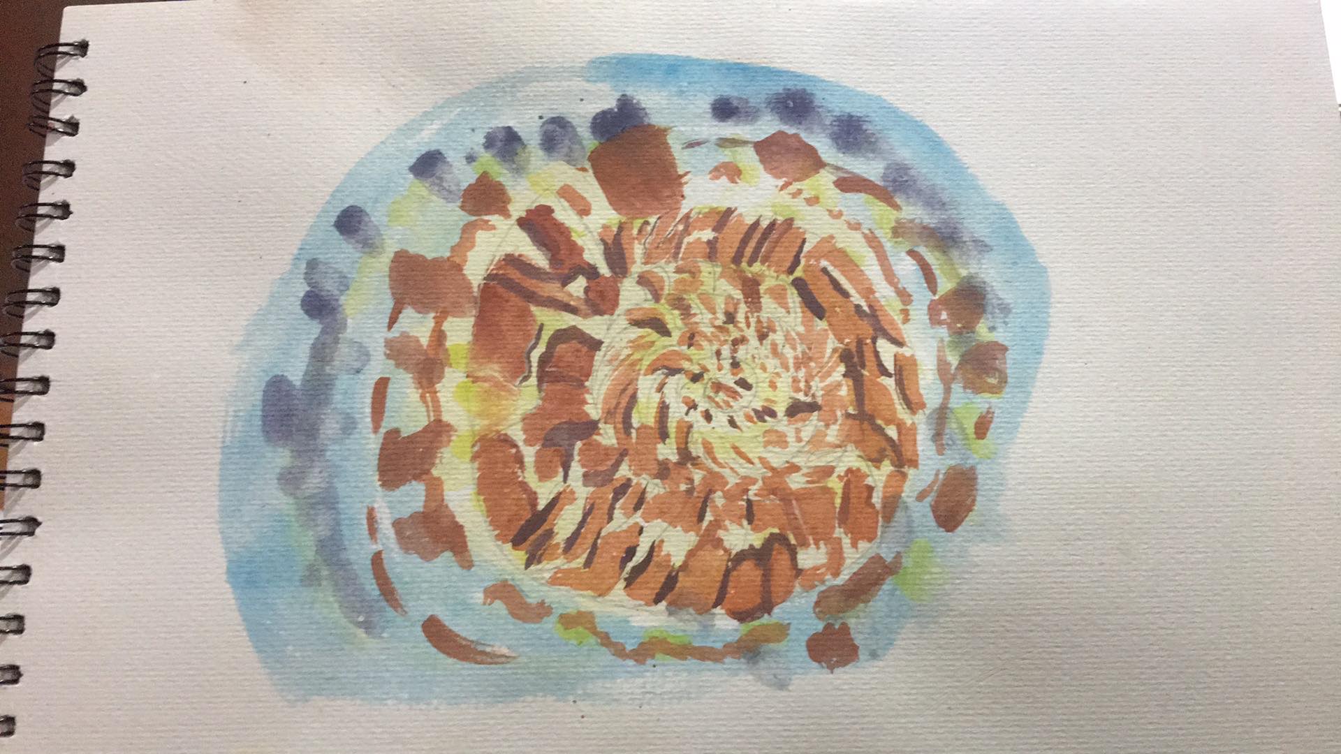Art and Science Class 2: What are Fossils and How to Paint an Ammonite ...