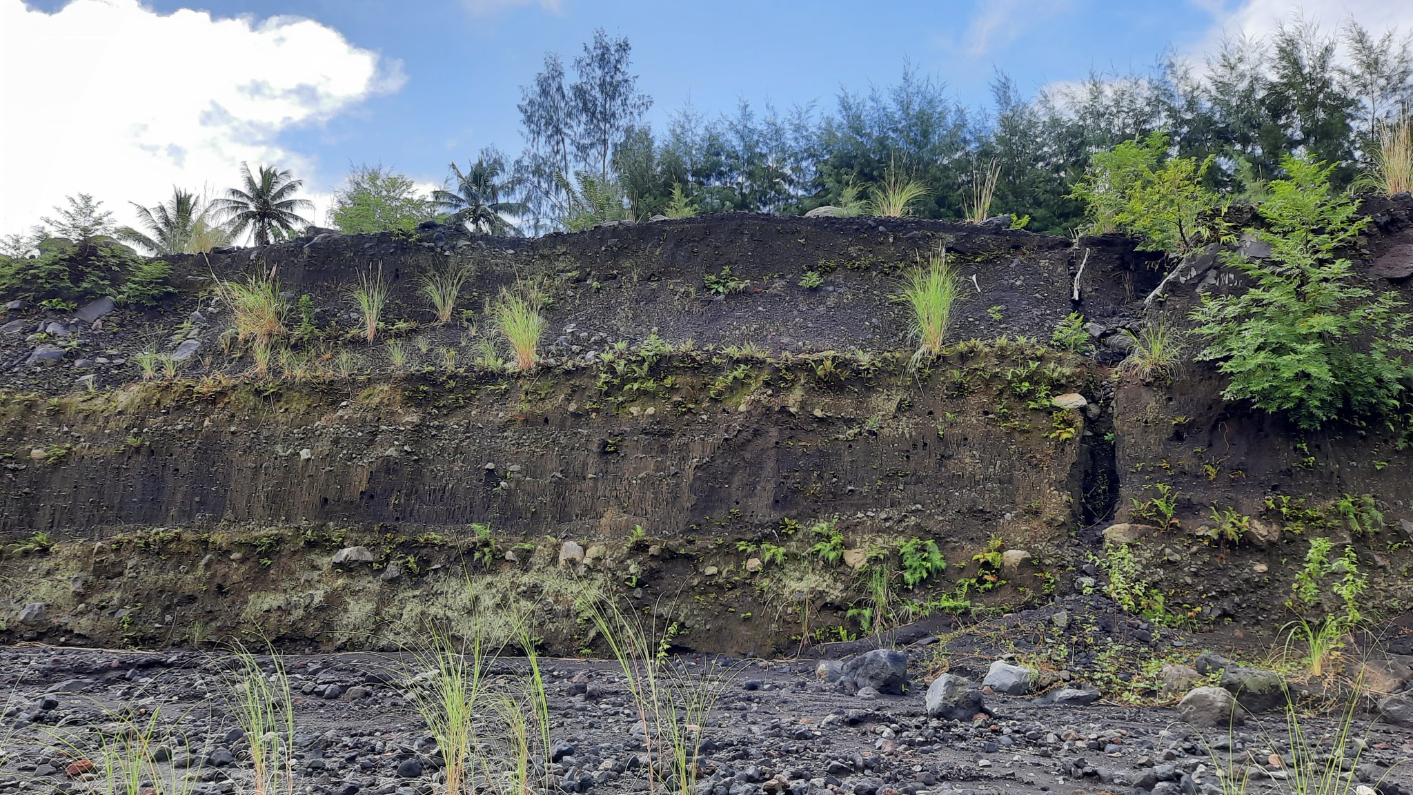 Volcanology Fieldwork in Bicol – Revisiting Eruptive Deposits of Mayon ...