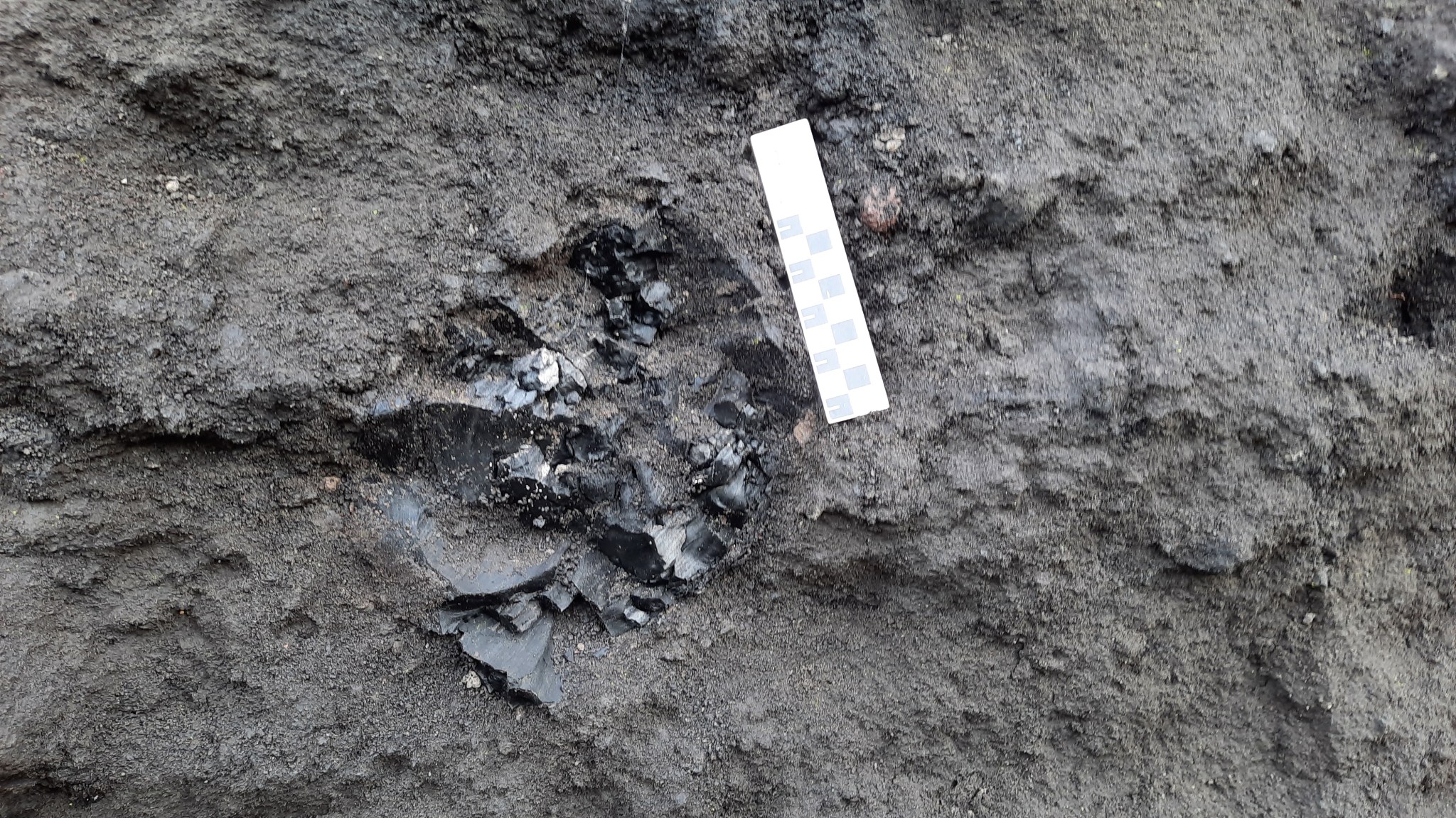 Volcanology Fieldwork in Bicol – Revisiting Eruptive Deposits of Mayon ...