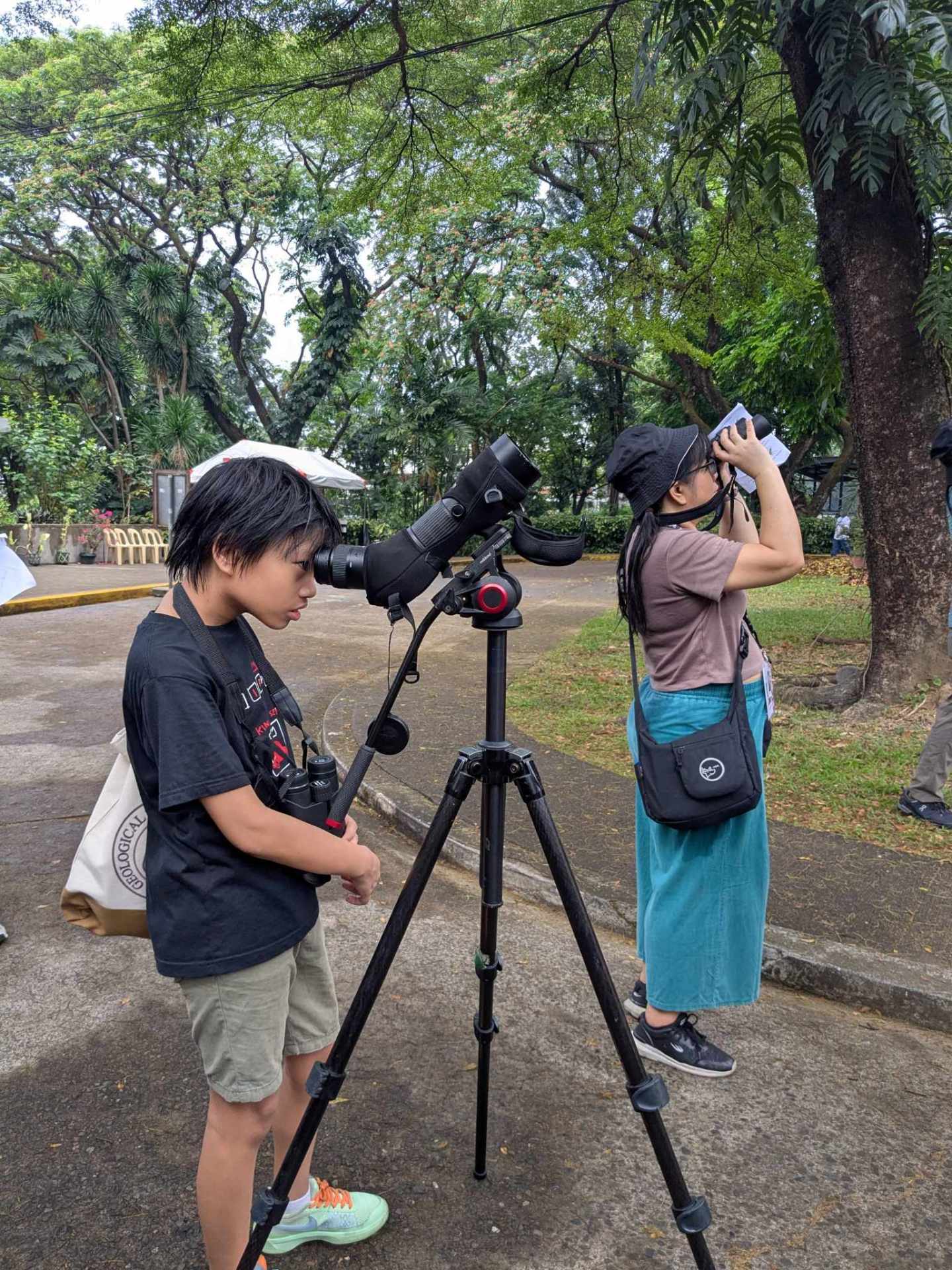 Balik Tanaw: Returning to Nature at UP Diliman – The Fabulous Scientist